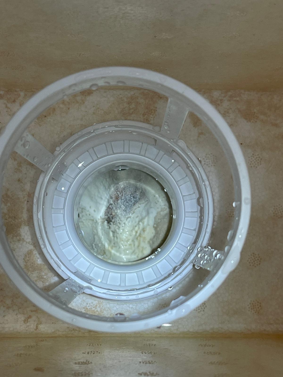 bassin-vorher - RESTCLEAN